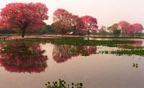 Lugares increíbles de Paraguay que debes conocer - Ventana Abierta