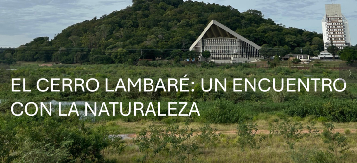 El Cerro Lambaré: un encuentro con la naturaleza - Ventana Abierta